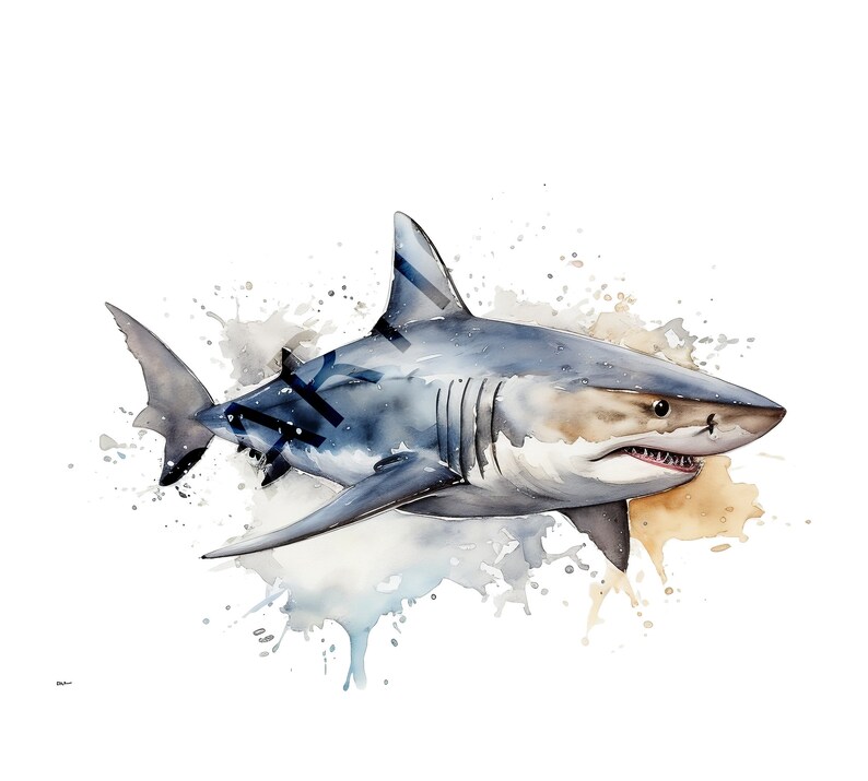 SHARK PNG 12pc Water Color CLIPART Ocean Animals Png - Etsy