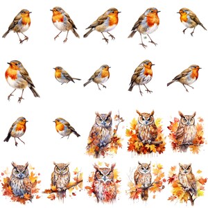 FALL BIRDS CLIPART Bundle 103x Png - Watercolor - Autumn Holiday ...