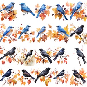 FALL BIRDS CLIPART Bundle 103x Png - Watercolor - Autumn Holiday ...