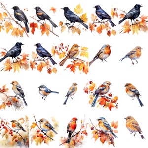 FALL BIRDS CLIPART Bundle 103x Png - Watercolor - Autumn Holiday ...