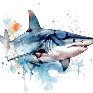SHARK PNG 12pc, Water Color CLIPART, Ocean Animals Png, Digital ...