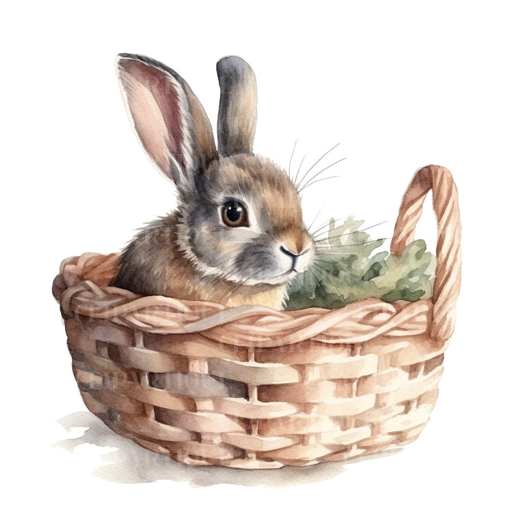 RABBIT BASKET Png 12pc Water Color CLIPART Farm Animals Png - Etsy