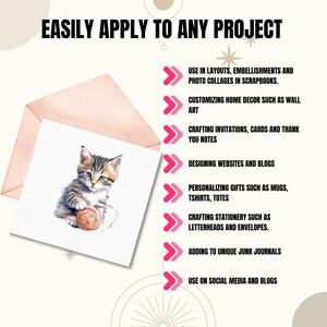 TABBY CAT CLIPART Bundle 127x Png Watercolor Kitten Lover Transparent ...