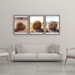 TUMBLEWEED WALL ART Bundle 19x Png - Western Watercolor - Wild West ...