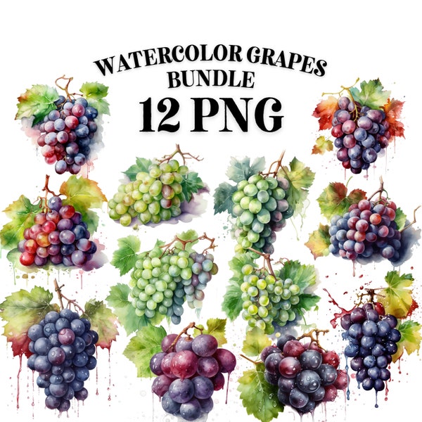 Water Color Grapes - Etsy