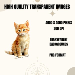 GINGER TABBY CAT Clipart Bundle 135x Png - Watercolor - Kitten Lover ...