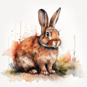 BUNNY PNG 12pc, Water Color CLIPART, Forest Animals Png, Digital ...