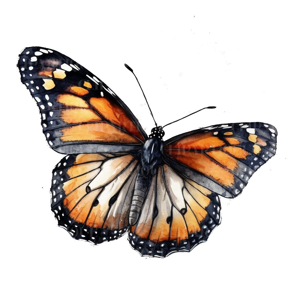 MONARCH BUTTERFLY Clipart Bundle 28x Png Watercolor - Etsy