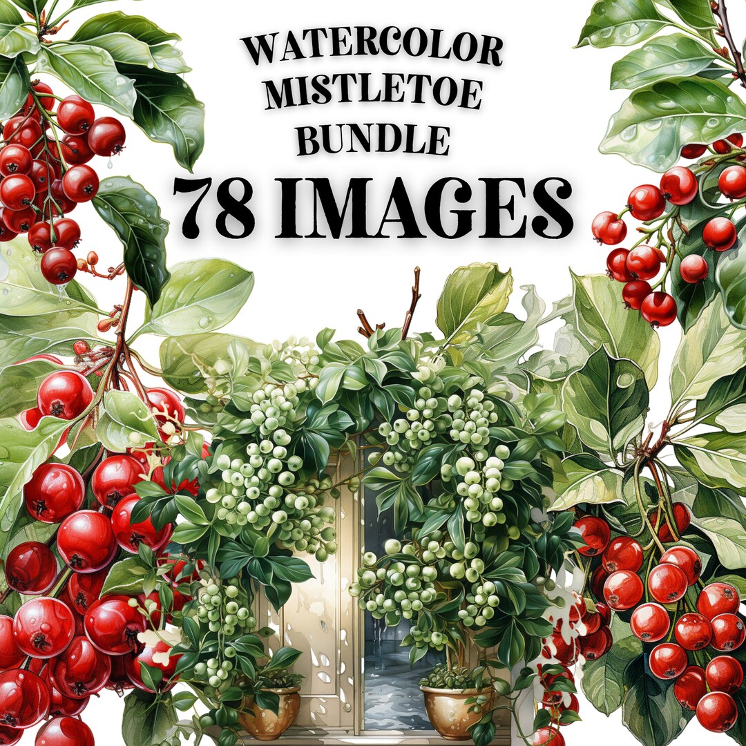 MISTLETOE CHRISTMAS CLIPART Bundle 78x Png - Watercolor - Holidays ...