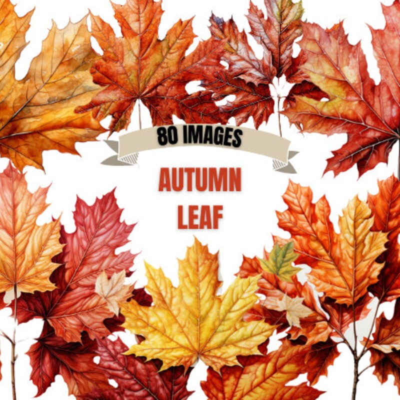 Fall Leaves Clipart - Etsy