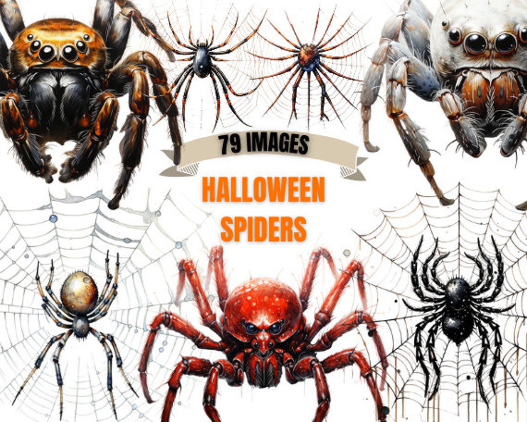 HALLOWEEN SPIDER CLIPART Bundle 79x Png Watercolor Fall Autumn ...