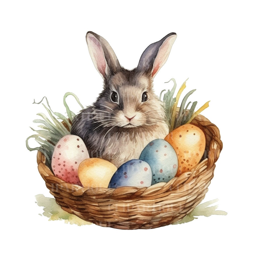 RABBIT BASKET Png 12pc Water Color CLIPART Farm Animals Png - Etsy