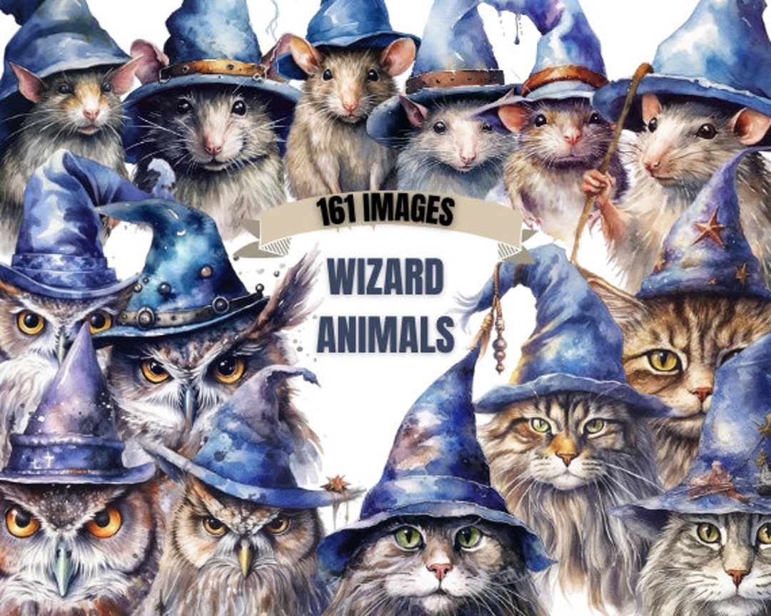 WIZARD ANIMALS Bundle 161x Png WATERCOLOR Magic Cat Rat Owl Transparent ...