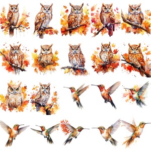FALL BIRDS CLIPART Bundle 103x Png - Watercolor - Autumn Holiday ...