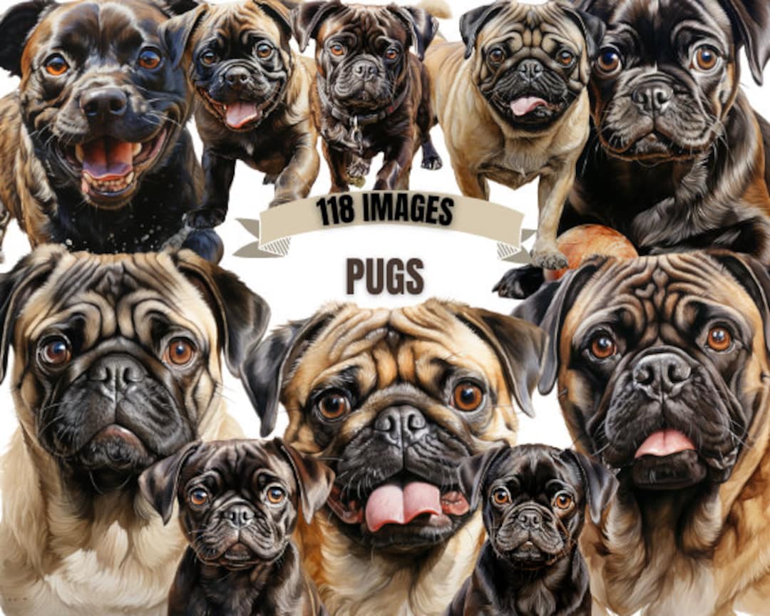 PUG DOG CLIPART Bundle 118x Png - Watercolor - Puppy Dog Lover ...