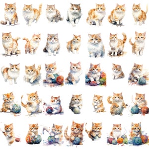 GINGER TABBY CAT Clipart Bundle 135x Png - Watercolor - Kitten Lover ...
