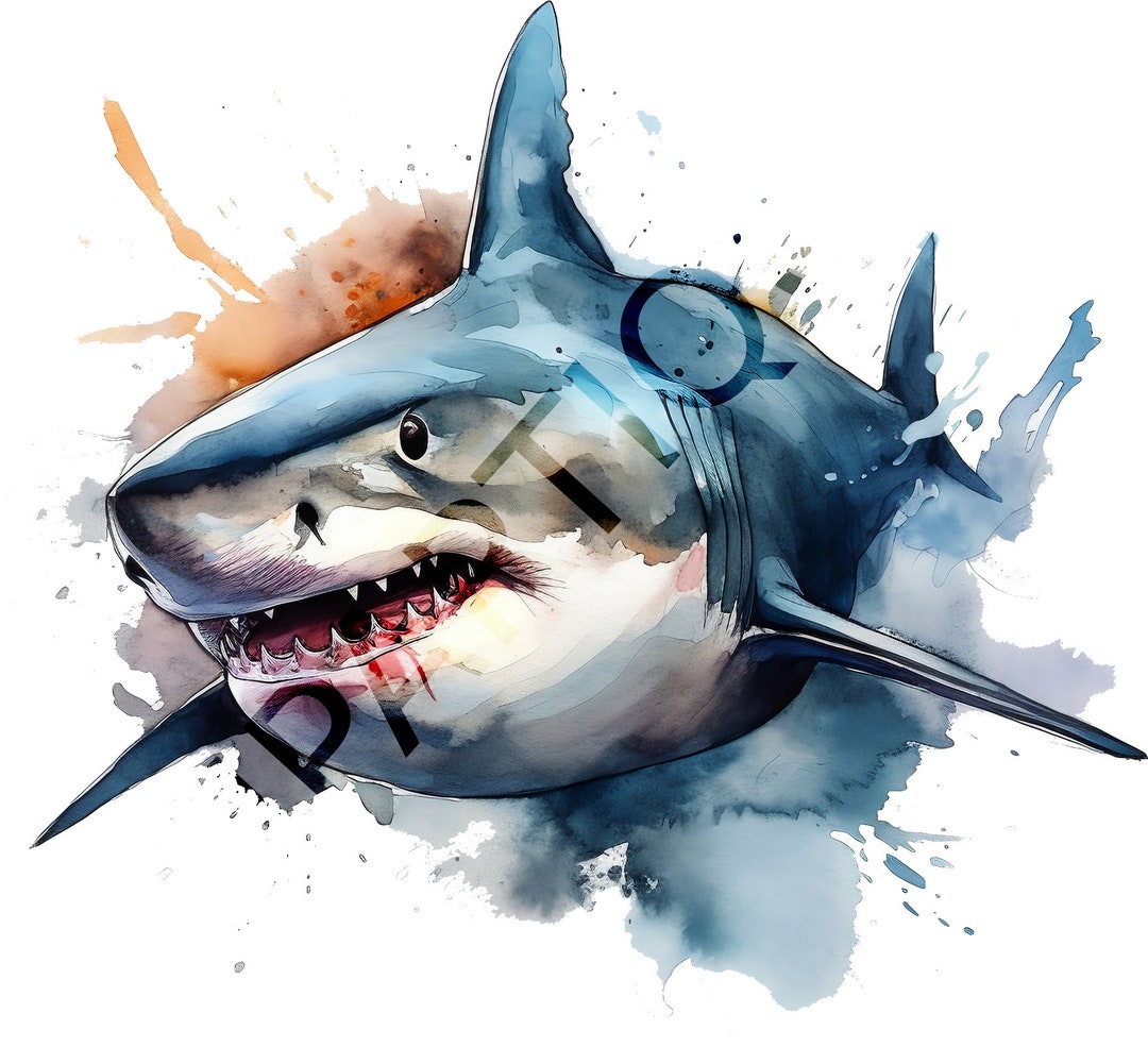 SHARK PNG 12pc, Water Color CLIPART, Ocean Animals Png, Digital ...