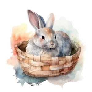 RABBIT BASKET Png 12pc, Water Color CLIPART, Farm Animals Png, Digital ...