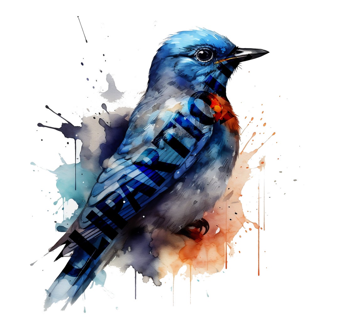 BLUE FINCH Png 12pc, Water Color CLIPART, Jungle Animals Png, Digital ...
