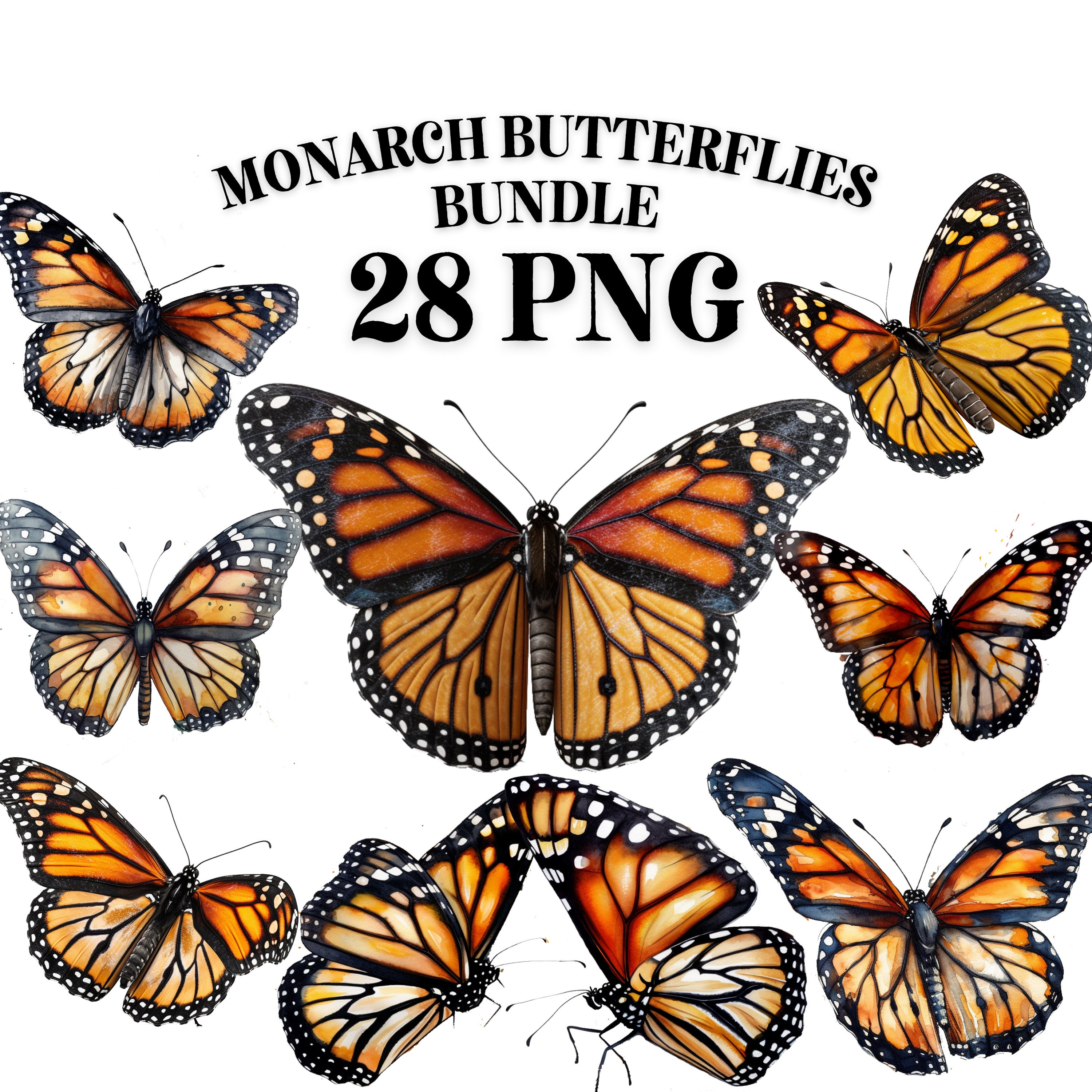MONARCH BUTTERFLY Clipart Bundle 28x Png Watercolor - Etsy