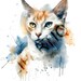 Watercolor Cats Clipart 12 Designs Digital Download - Etsy