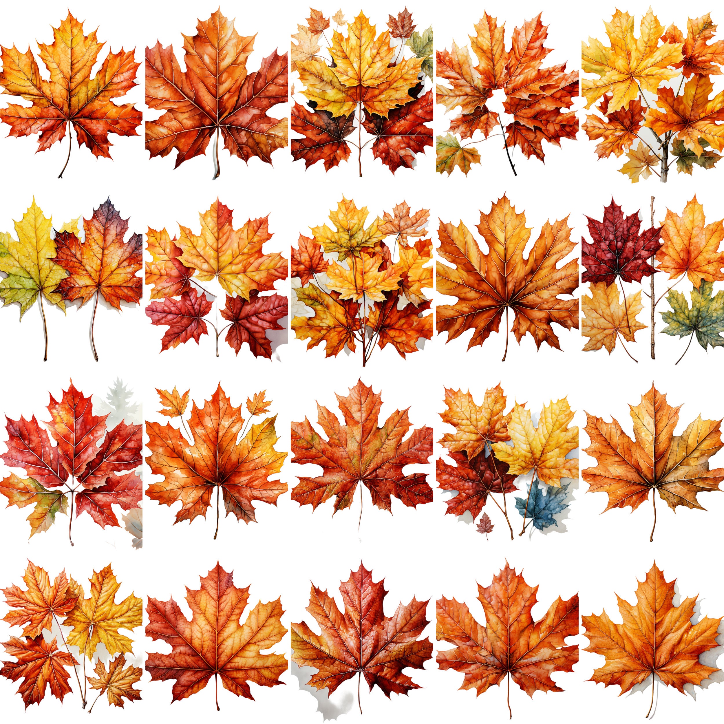FALL LEAVES CLIPART Bundle 80x Png Watercolor Autumn - Etsy