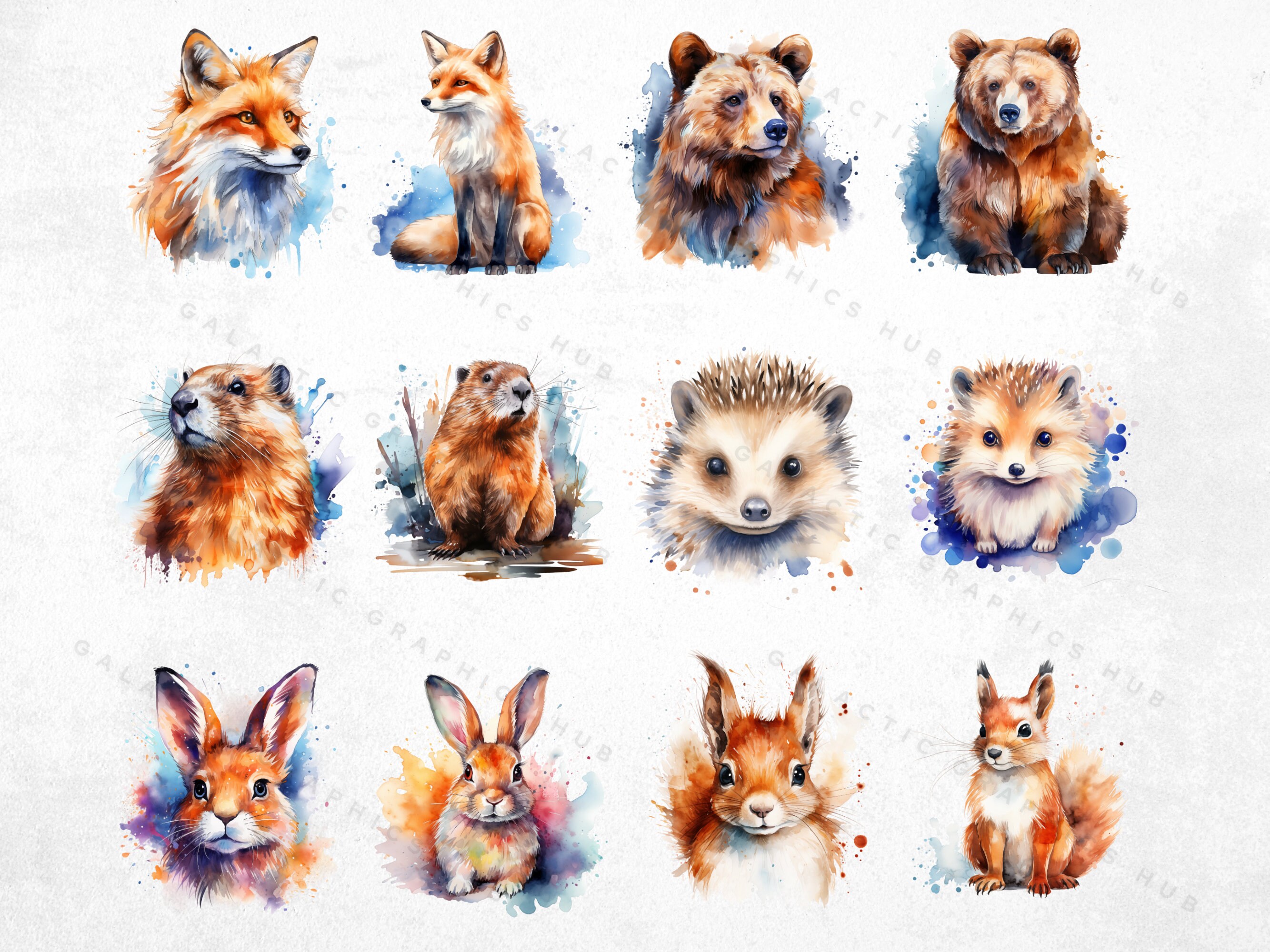 Watercolor Woodland Animals Clipart Bundle PNG Transparent - Etsy