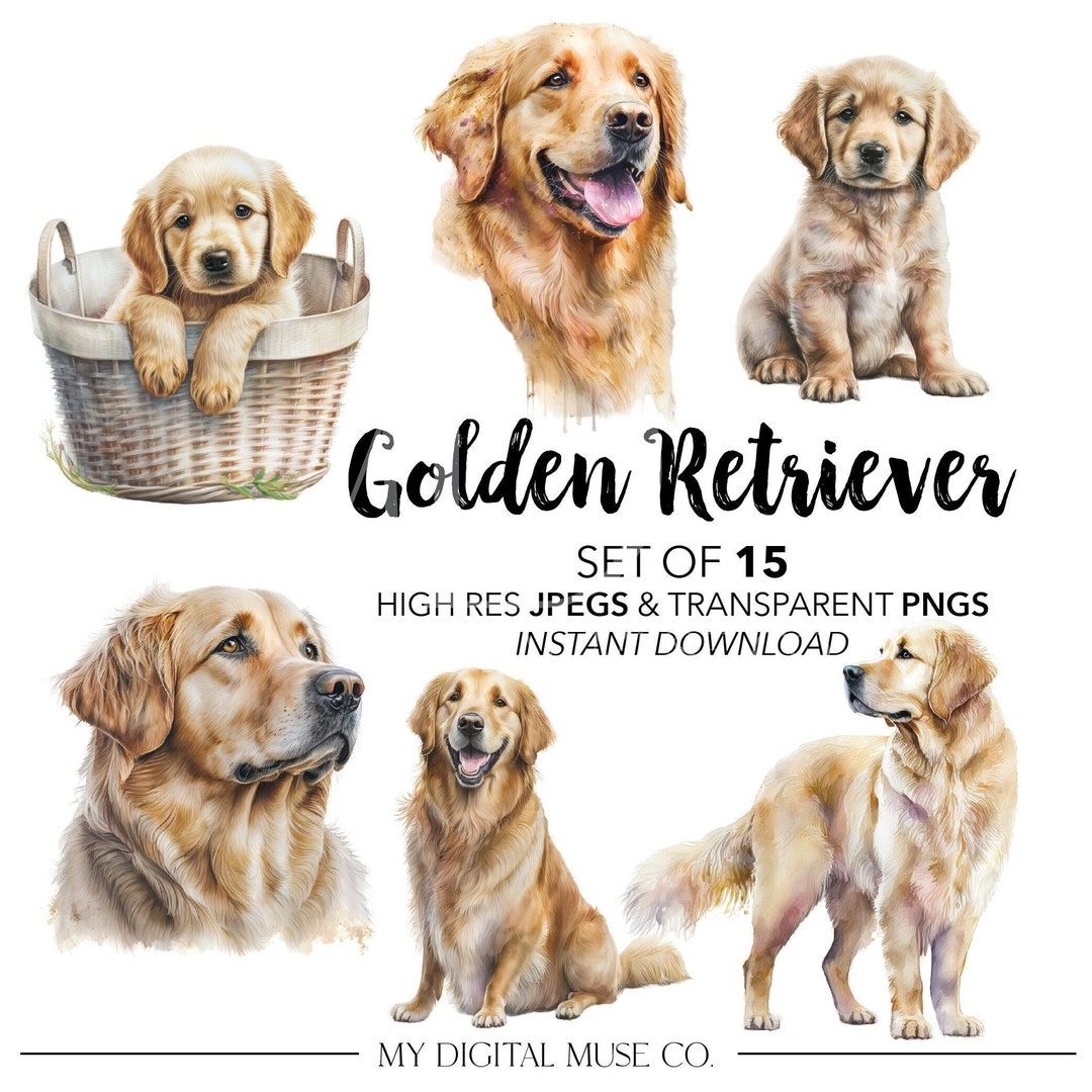 Golden Retriever PNG, Watercolor Golden Retriever Clipart, Jpg Puppy ...