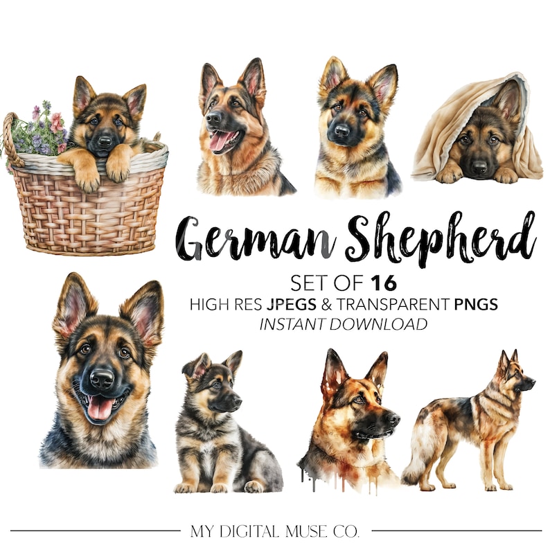 German Shepherd PNG, Watercolor German Shepherd Clipart, Jpg, Puppy PNG ...