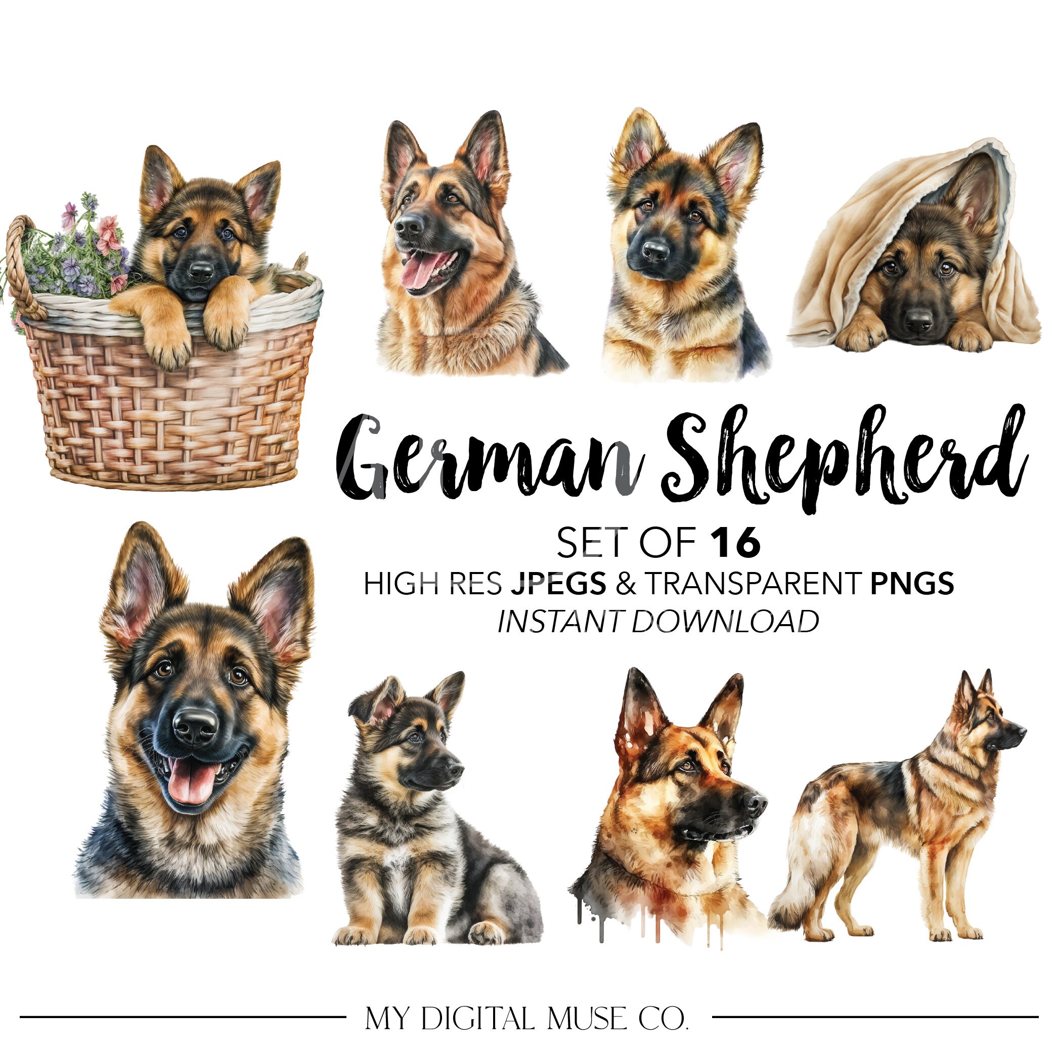 German Shepherd PNG Watercolor German Shepherd Clipart Jpg - Etsy