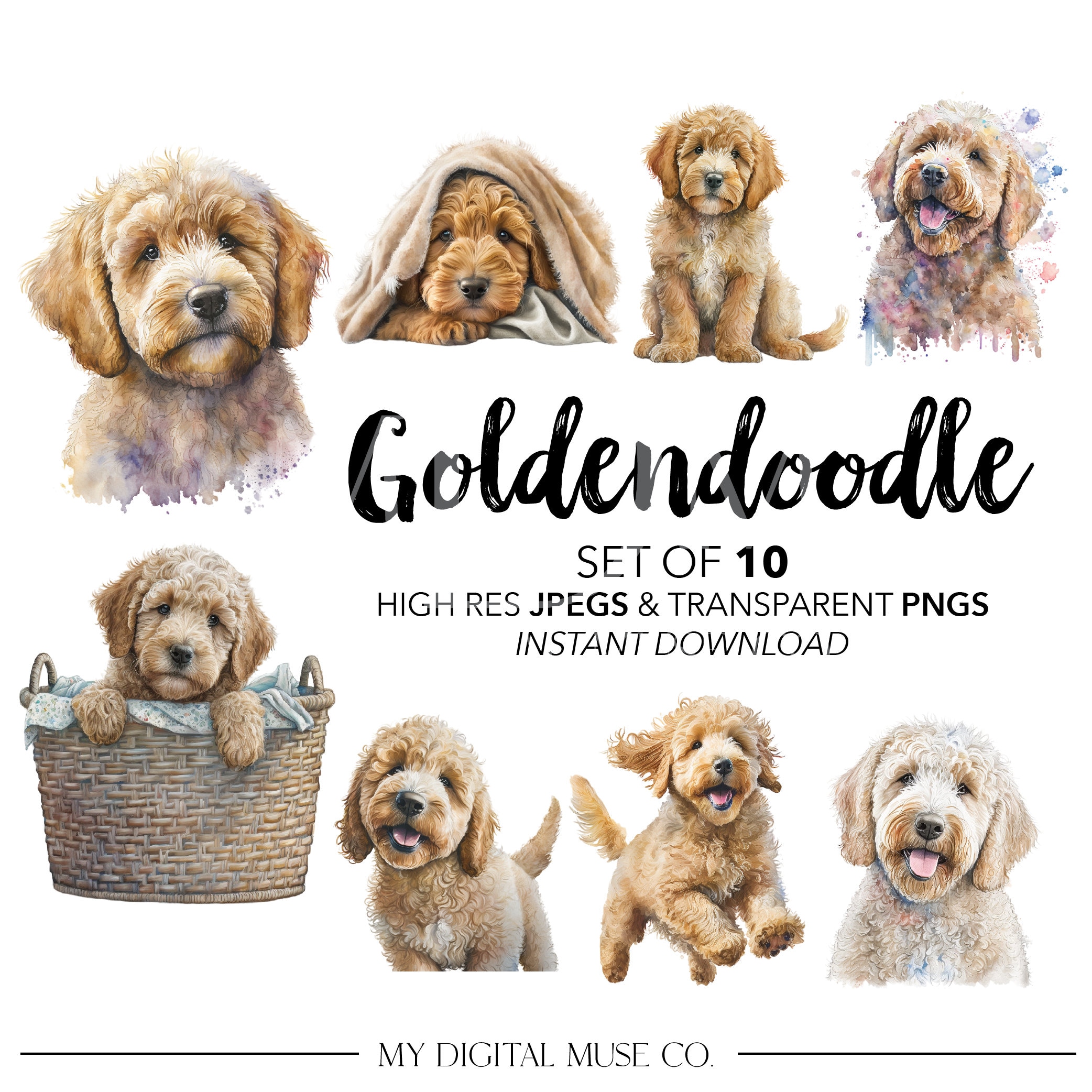Goldendoodle PNG, Watercolor Goldendoodle Clipart, Cute Dog, Puppy PNG ...