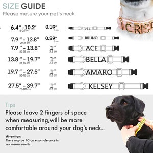 Personalized Dog Collars With Metal Letter Name, Female Dog Collars ...