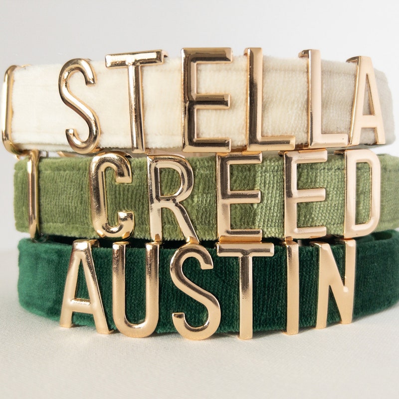 Dog Collar With Name - Etsy