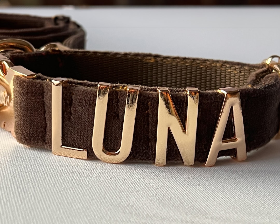 Personalized Dog Collars With Metal Letter Name, Female Dog Collars ...