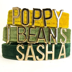 Personalized Dog Collars With Metal Letter Name, Female Dog Collars ...