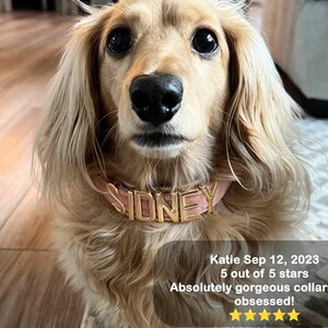 Personalized Dog Collars With Metal Letter Name, Female Dog Collars ...