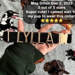 Personalized Dog Collars With Metal Letter Name, Female Dog Collars ...