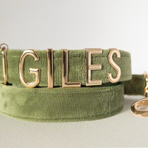 Personalized Dog Collars With Metal Letter Name, Female Dog Collars ...