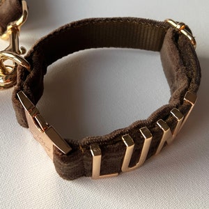 Personalized Dog Collars With Metal Letter Name, Female Dog Collars ...