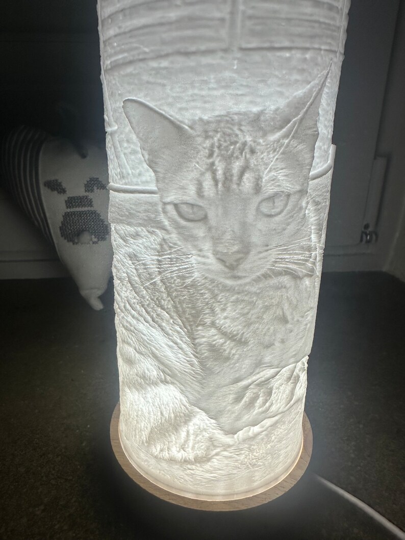 Illuminated Personalizable Lithophanes With LED Light I Birthday I Gift ...