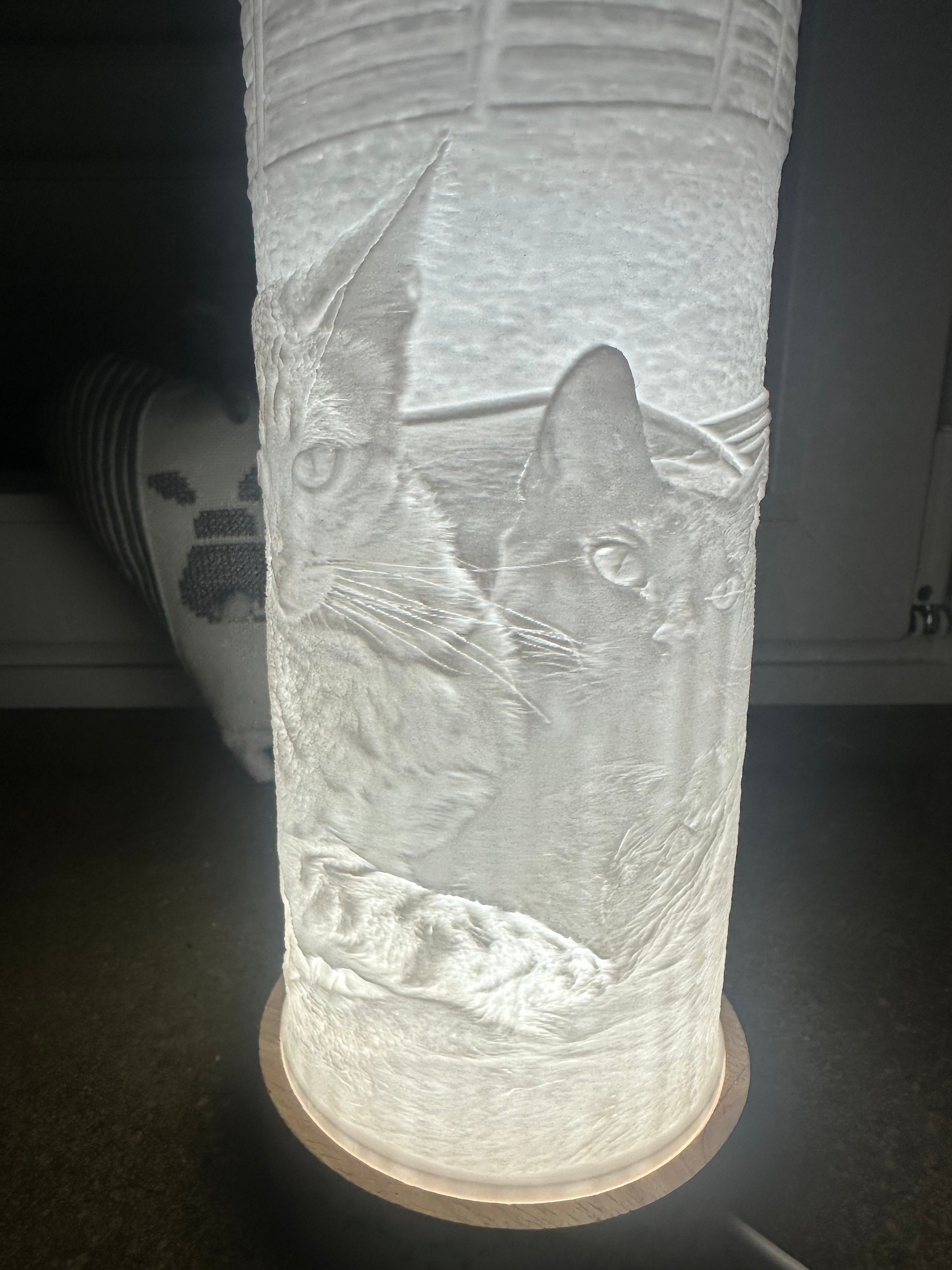 Illuminated Personalizable Lithophanes With LED Light I Birthday I Gift ...