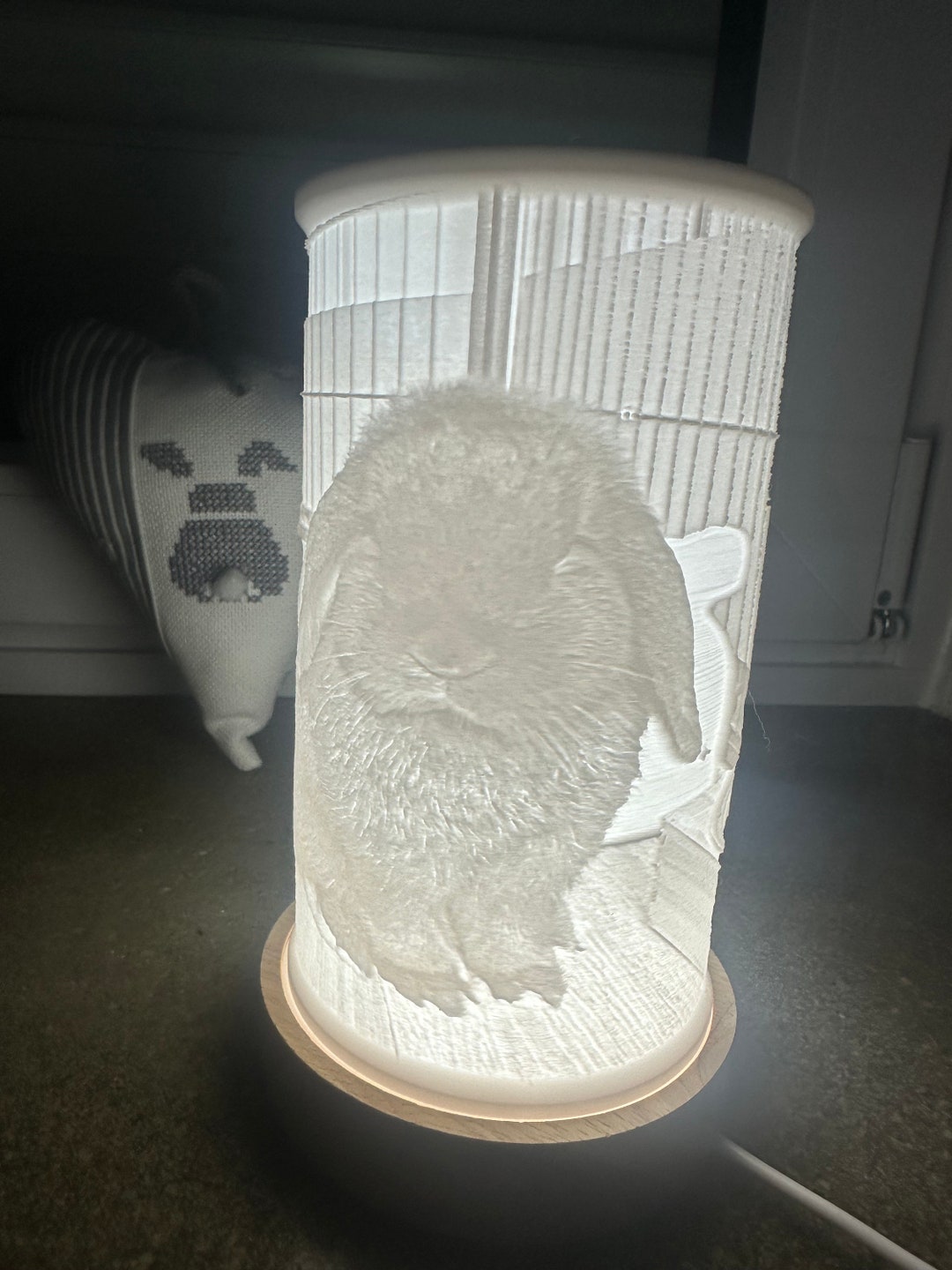 Illuminated Personalizable Lithophanes With LED Light I Birthday I Gift ...