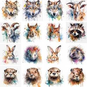 39 Watercolor Woodland Animal Clip Art Bundle, PNG, Instant Download ...