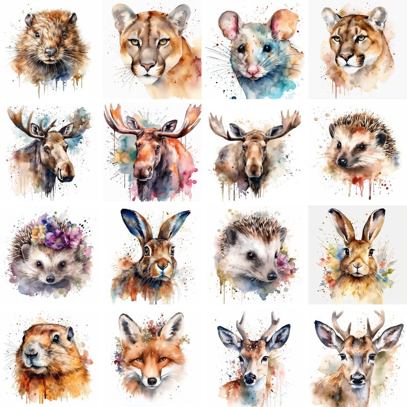 39 Watercolor Woodland Animal Clip Art Bundle, PNG, Instant Download ...