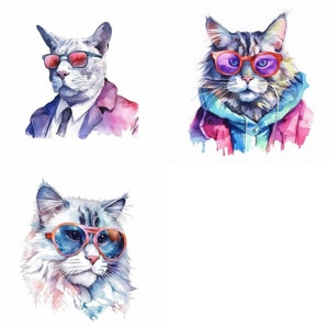 30 Cool Cat Clip Art, Watercolor, PNG, Instant Download, Commercial Use ...