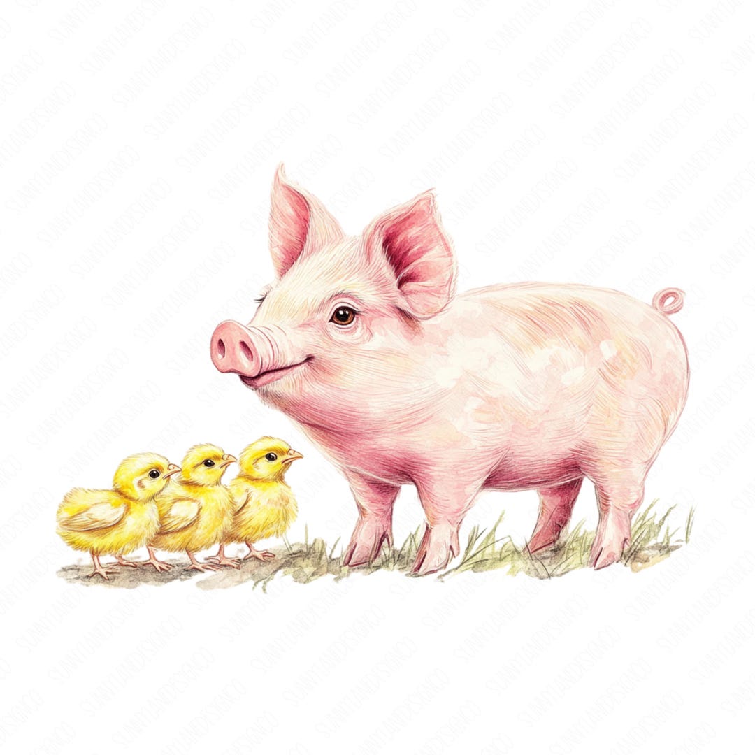 Pig and Chicks Western Design, Tshirt Print, Western PNG, Designs ...