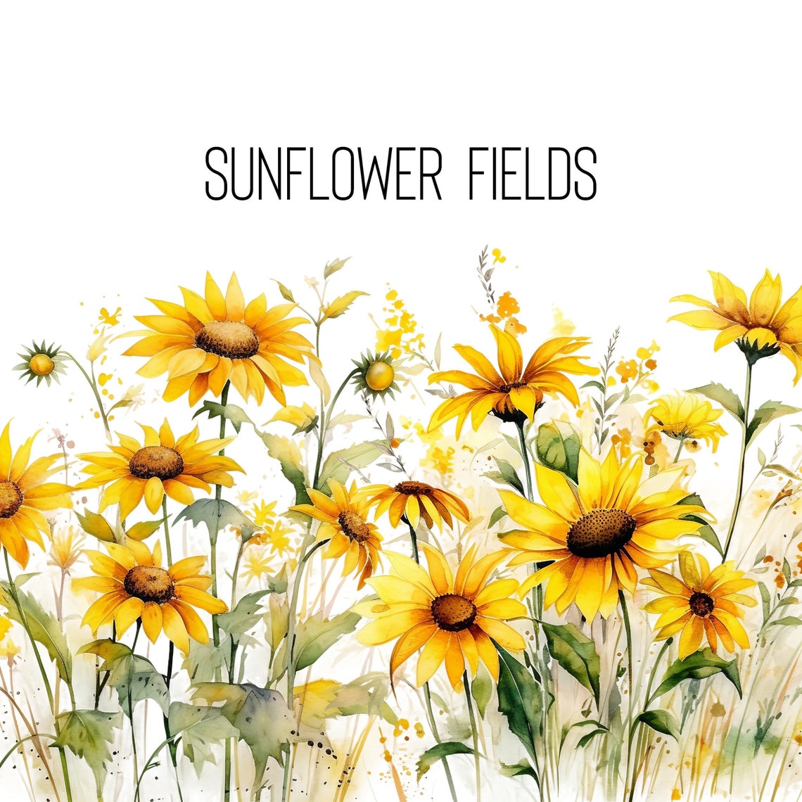 Watercolor Sunflower Clipart, Wildflowers Floral Clipart , Floral ...