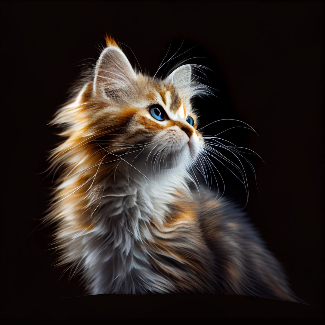 Sleek and Mysterious Cats - Digital Art Prints With Black Backgrounds ...