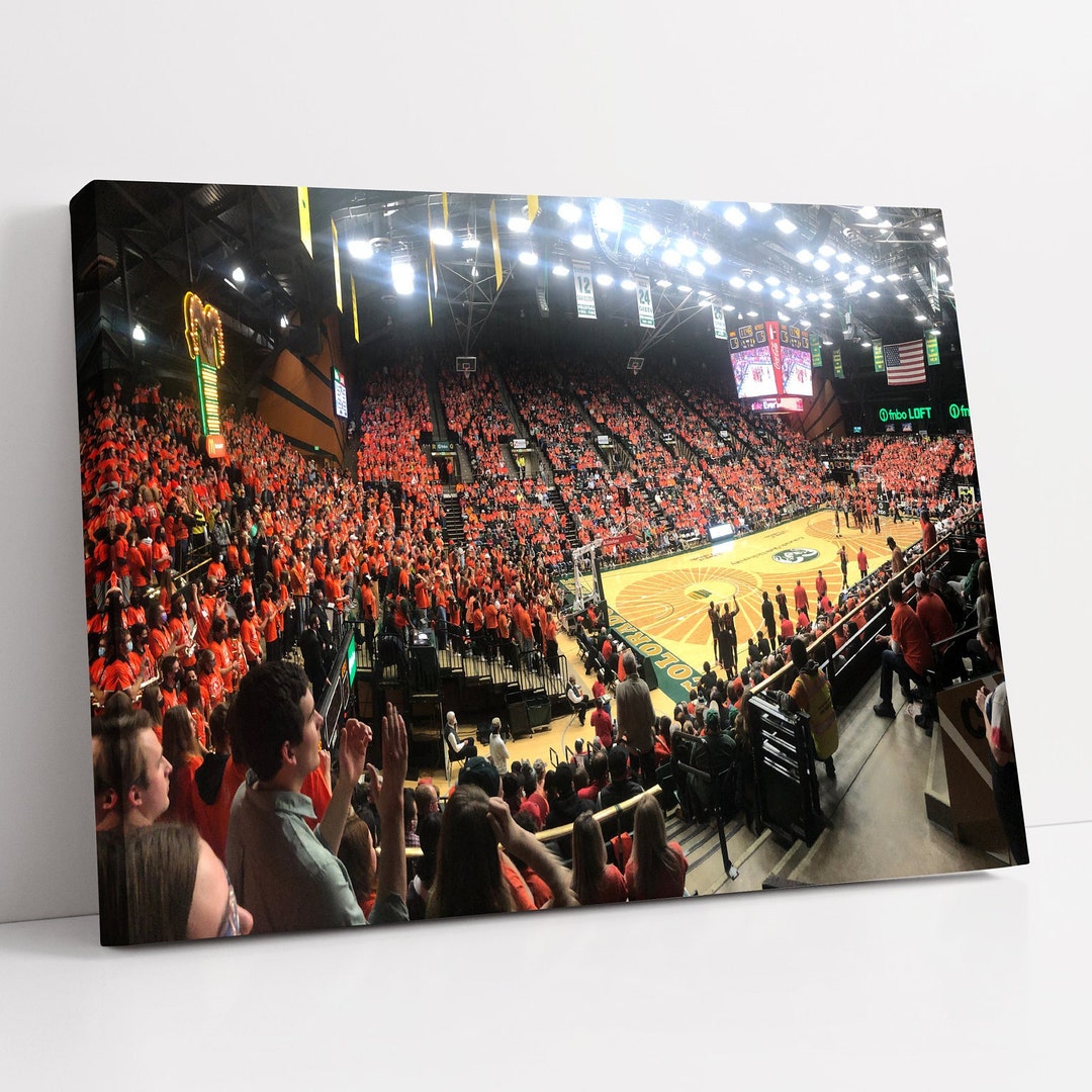 Moby Arena Stadium Poster Moby Arena Canvas Print Canvas - Etsy