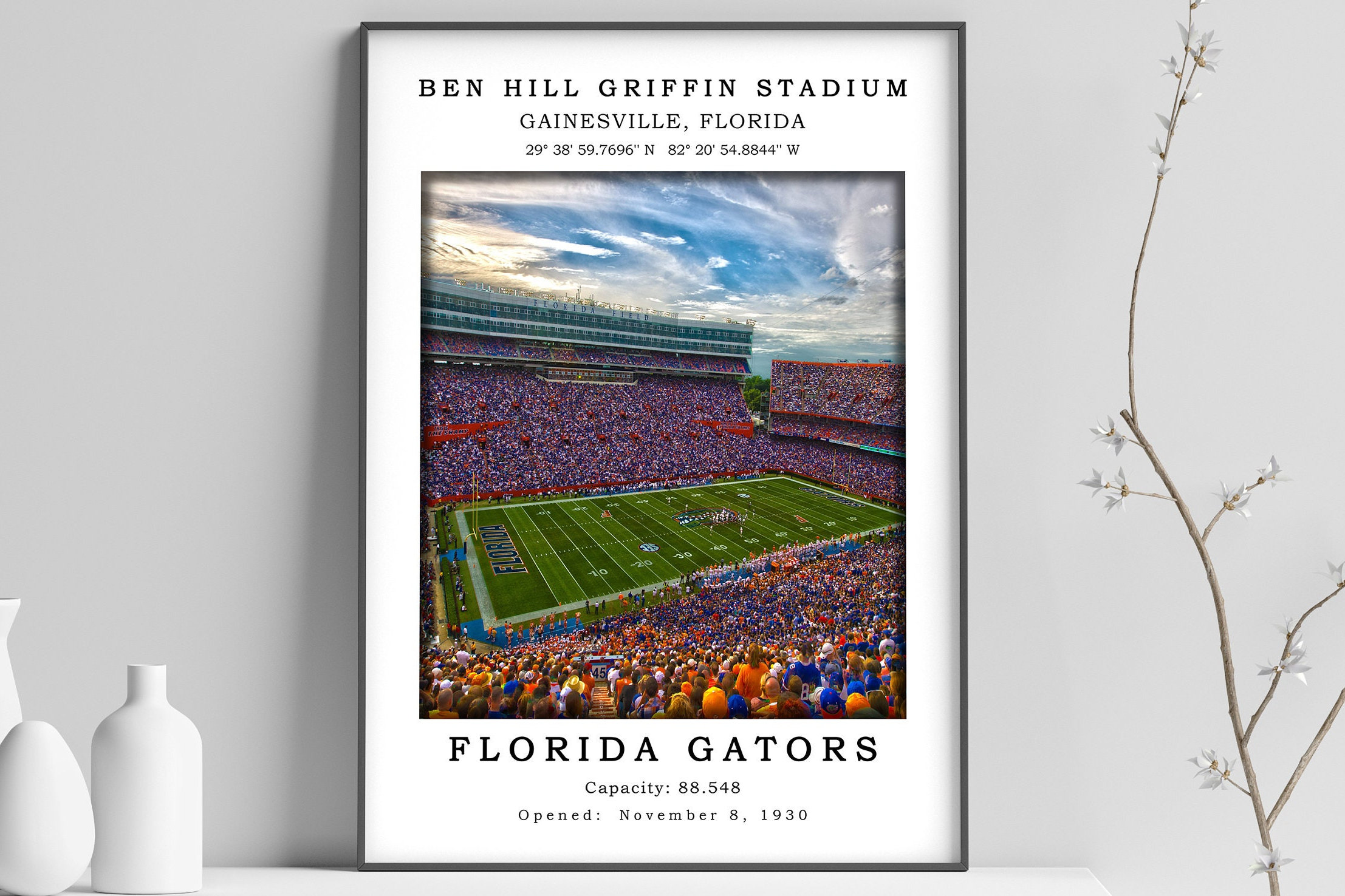Ben Hill Griffin Canvas Poster Ben Hill Griffin Stadium Print Canvas ...